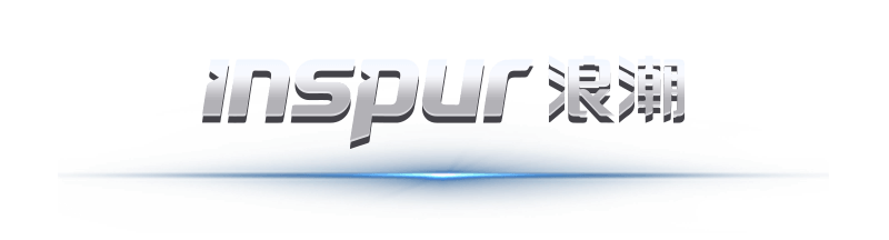inspur